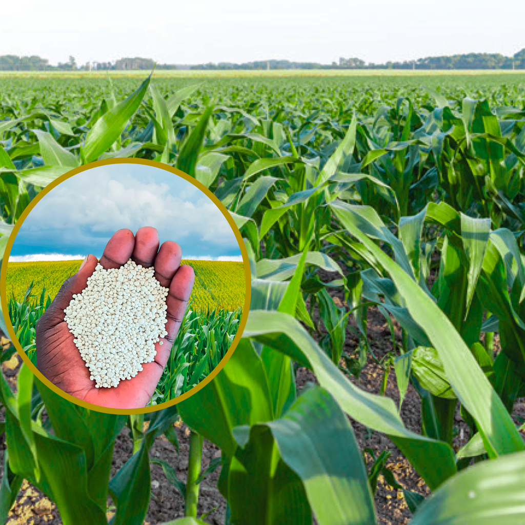 CalciGrow - Chiromo Fertilizers