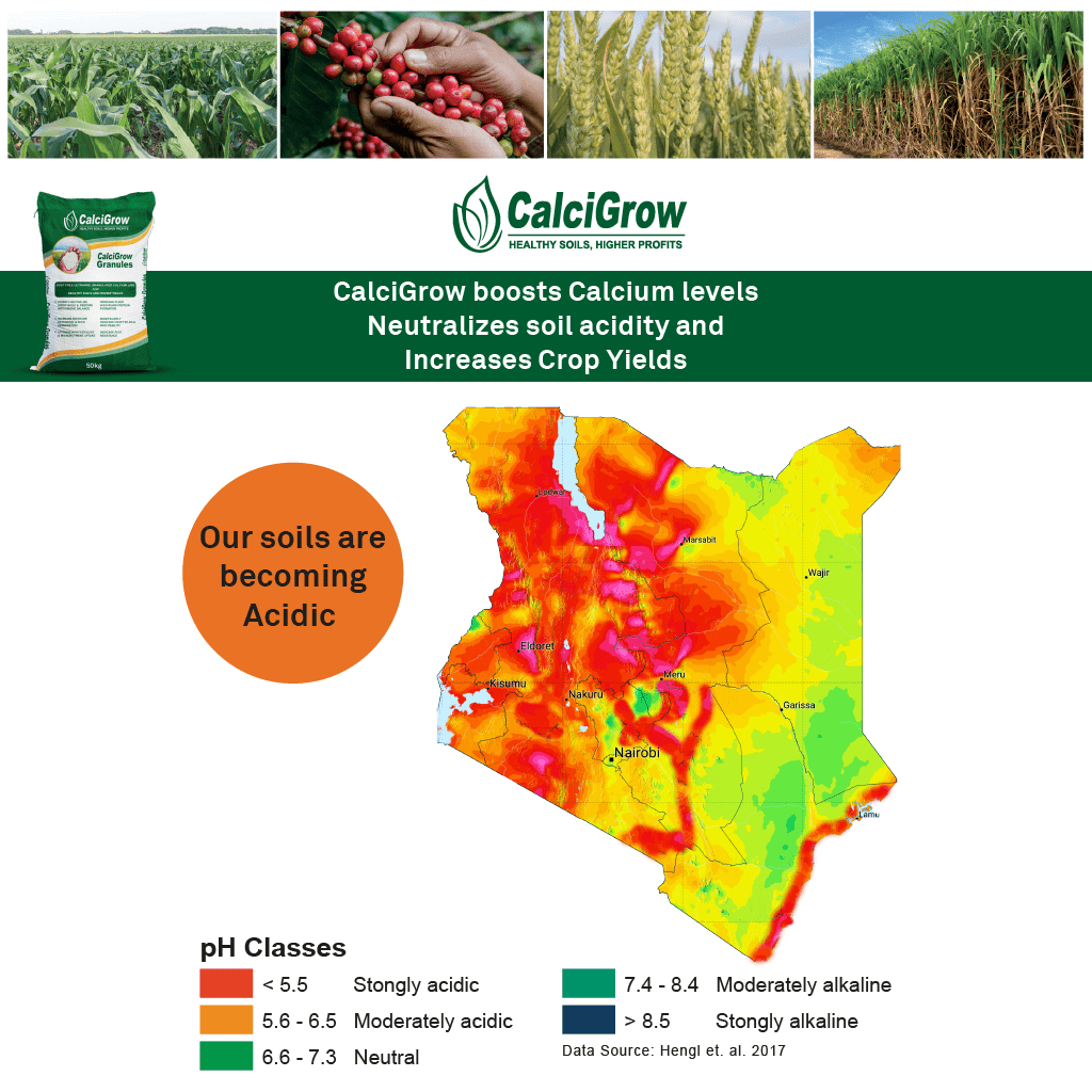 Soil Maps - Chiromo Fertilizers